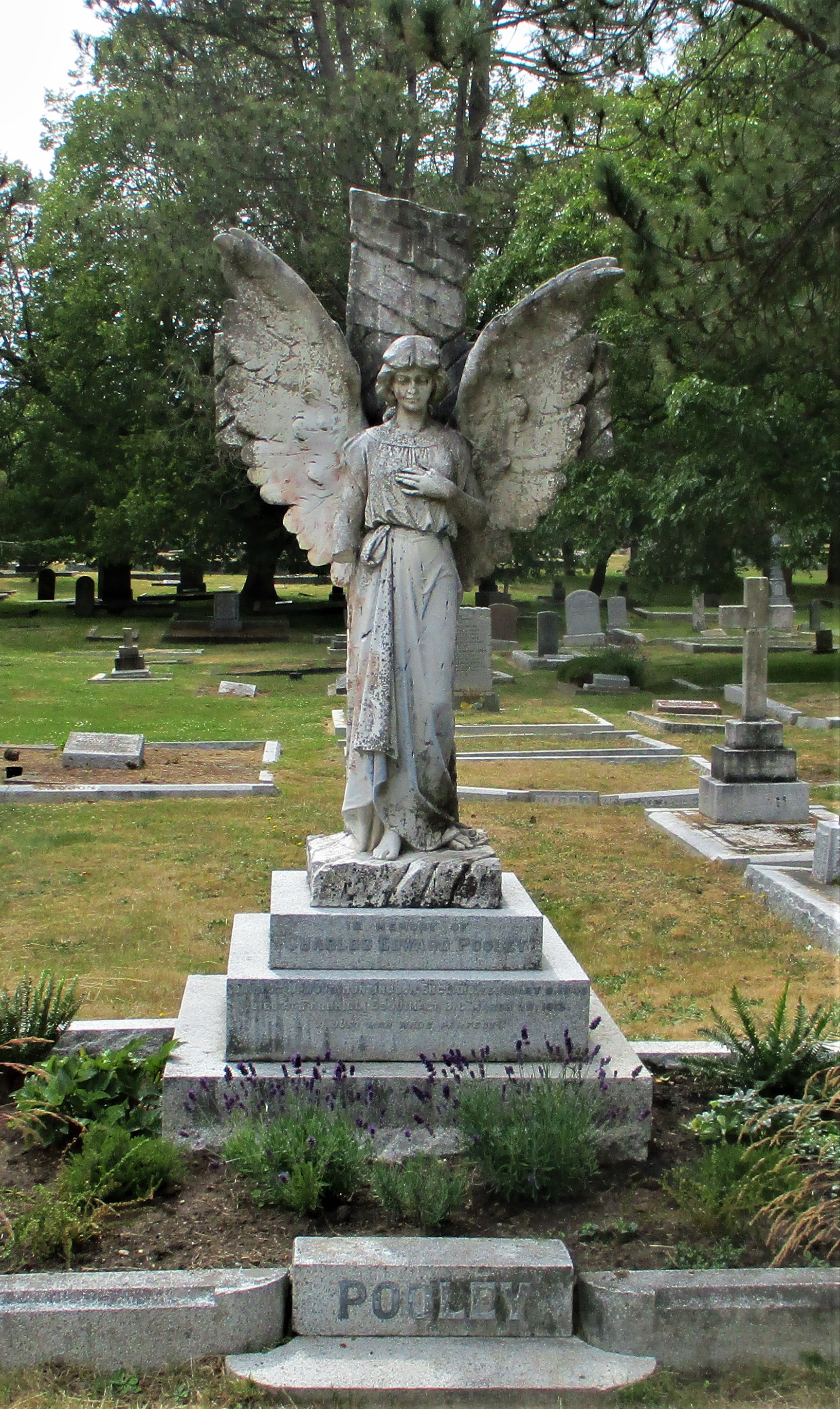 Pooley Angel – Old Cemeteries Society of Victoria