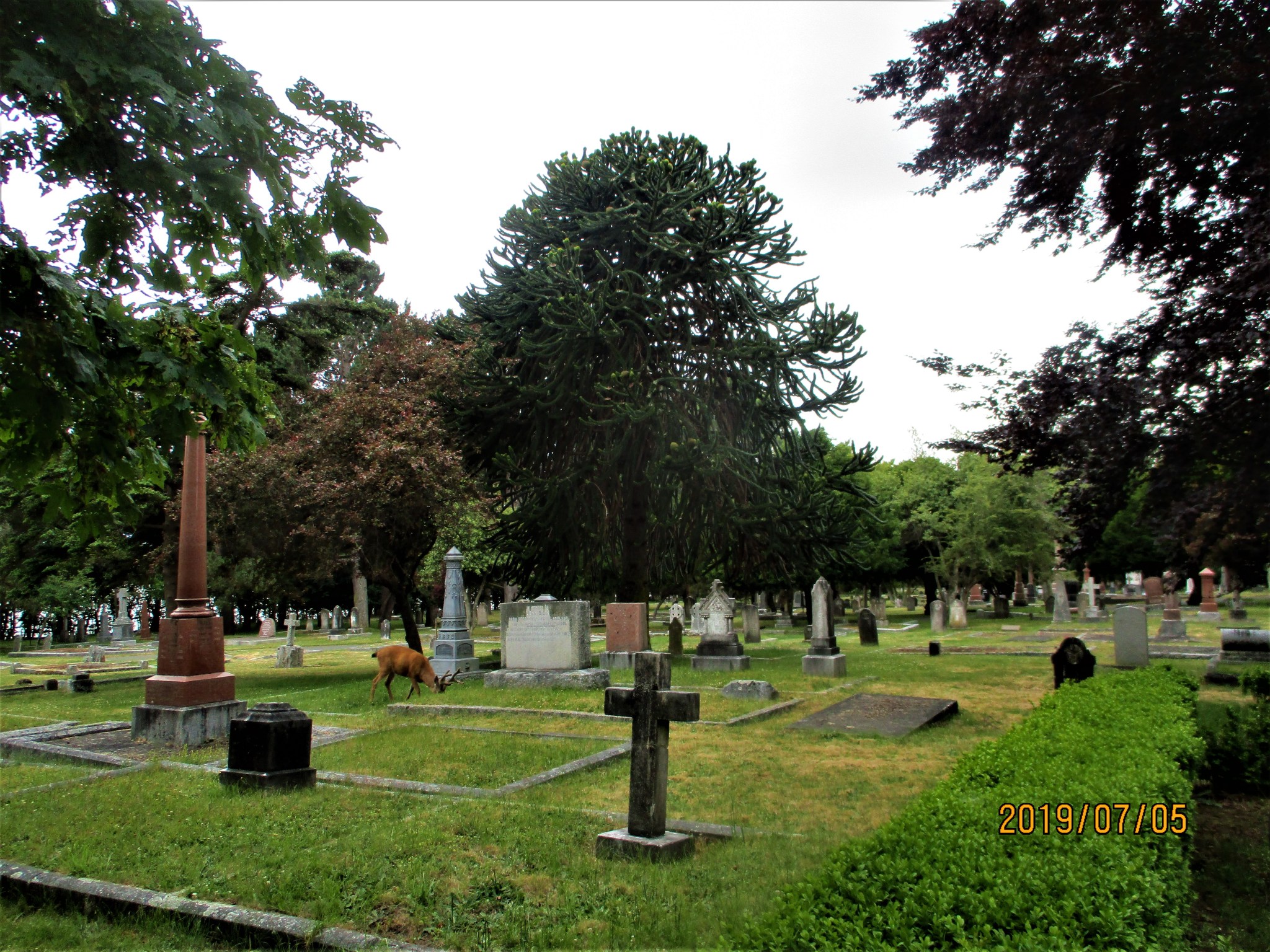 Gallery of Photos – Old Cemeteries Society of Victoria