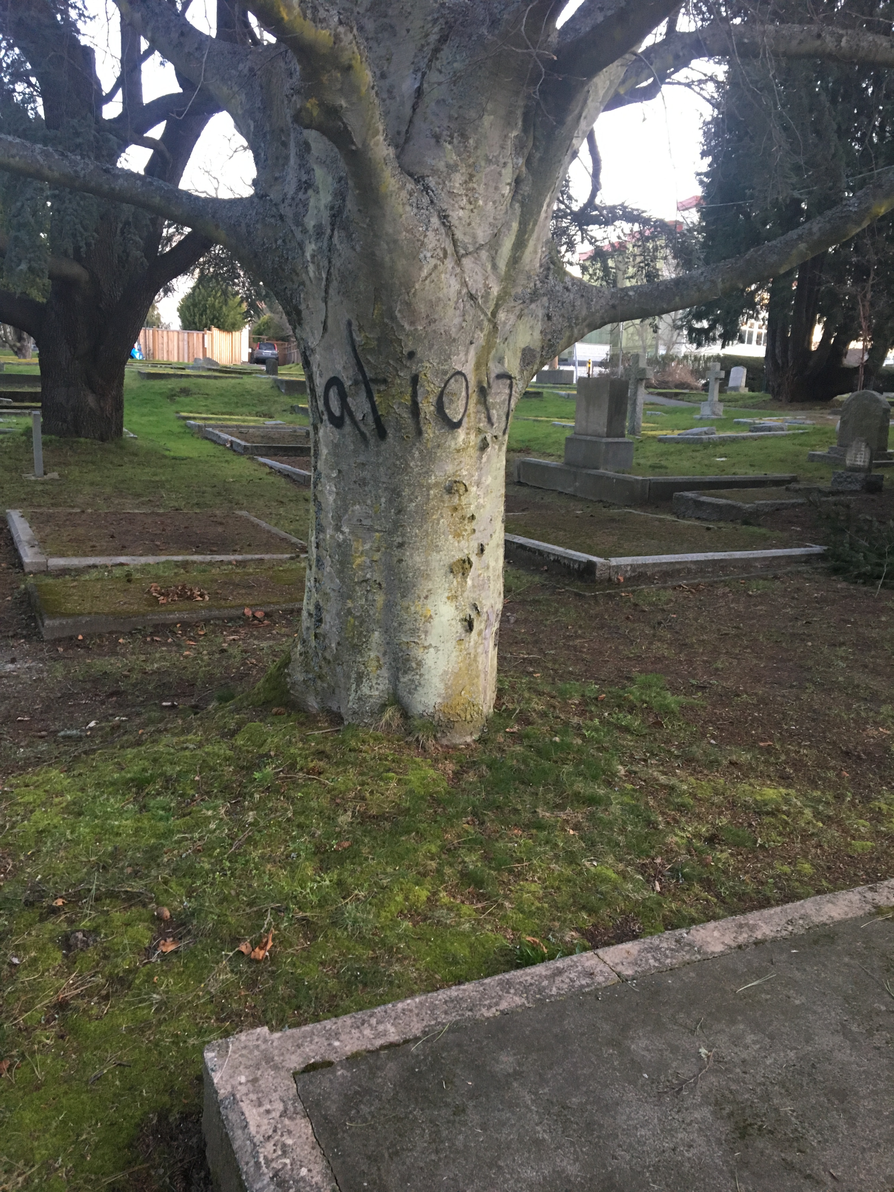 February 20, 2020 – Old Cemeteries Society of Victoria