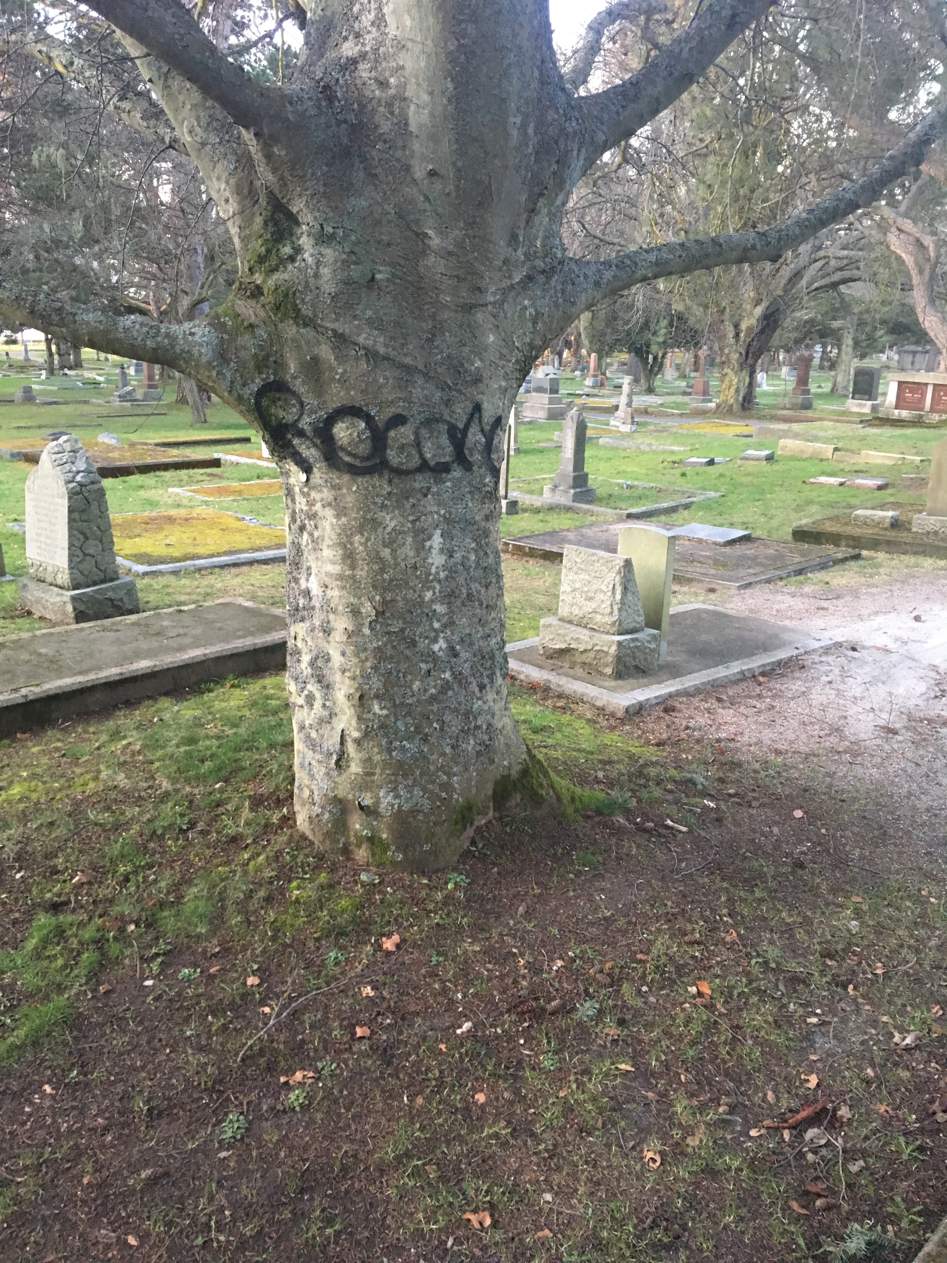 February 20, 2020 – Old Cemeteries Society of Victoria