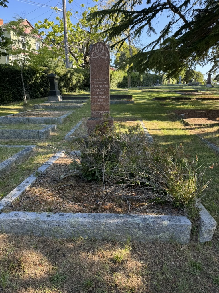 Cleaning Bee – Old Cemeteries Society of Victoria